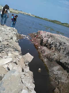 LOS HUMEDALES DE VILLA MARÍA