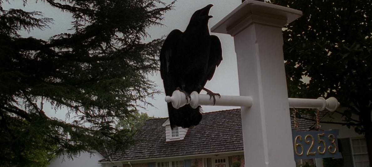 John Kenneth Muir's Reflections on Cult Movies and Classic TV: The Cult ...