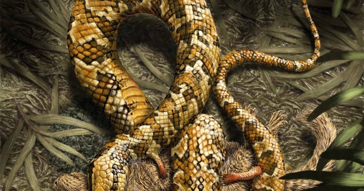 Species New to Science: [Paleontology • 2015] Tetrapodophis amplectus ...