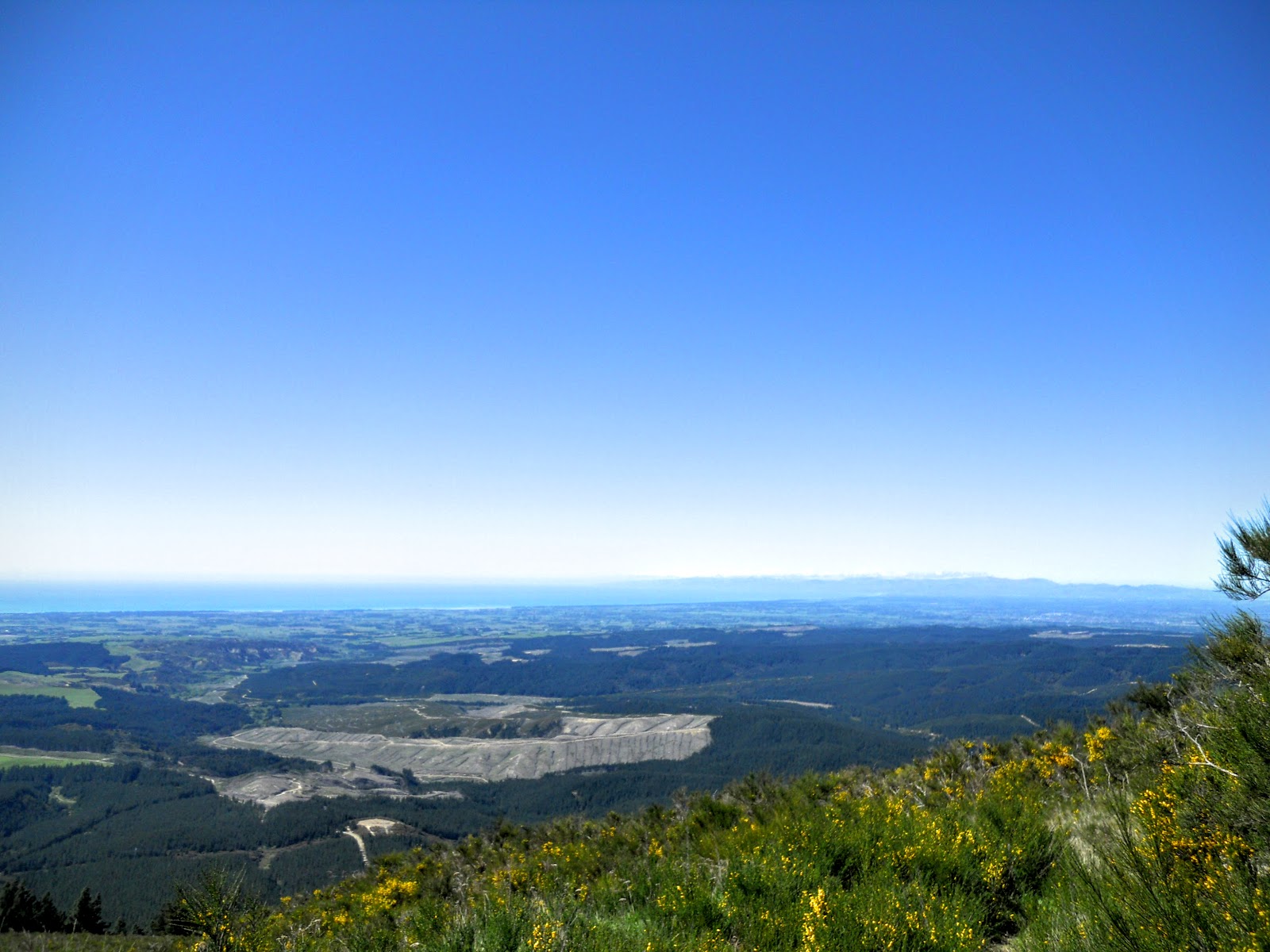 Tramping in the New Zealand backcountry: NZ Bush Adventures: Mt Grey ...