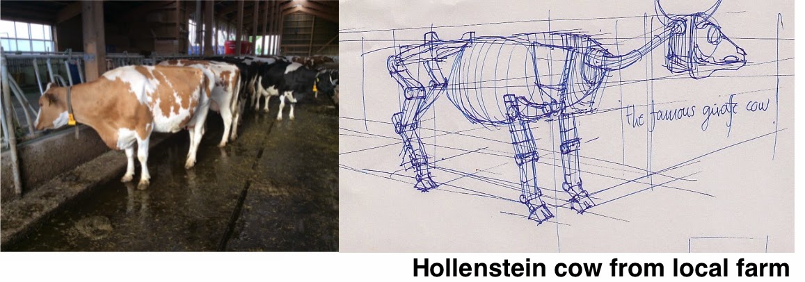 Louis learns to draw: Animal Drawing Week 2