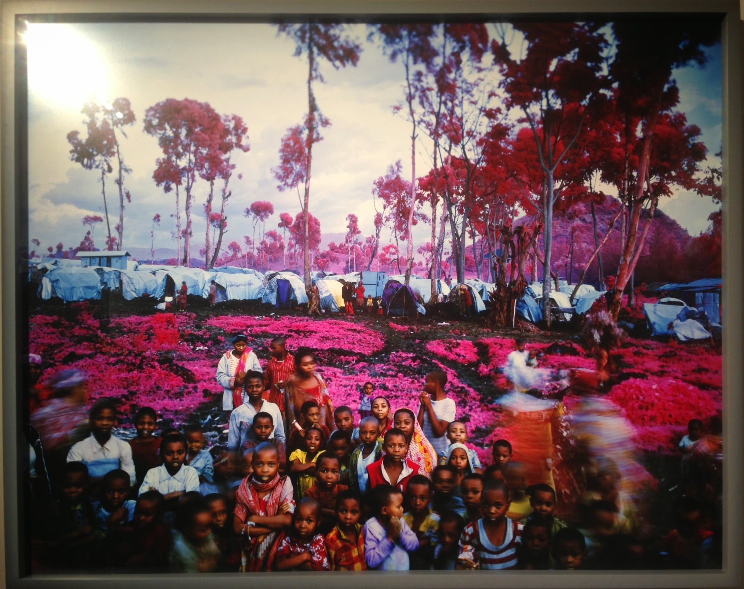 KIM HOWELLS: RICHARD MOSSE : THE ENCLAVE