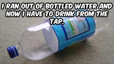 Crazy, Lazy, Silly and Strange: First World Problems...