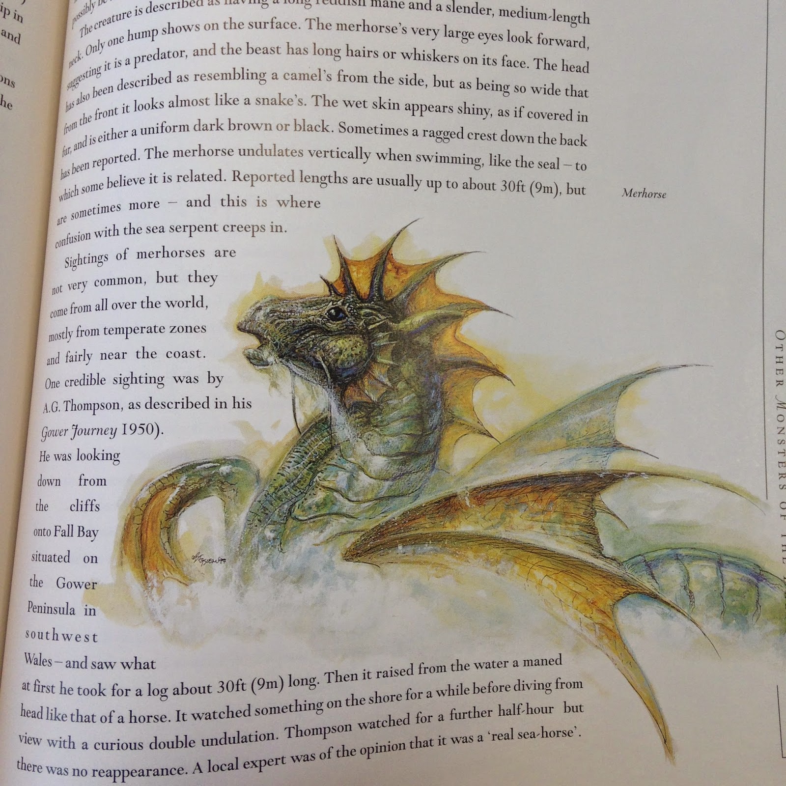 Waugh Illustration: Book of Sea Monsters