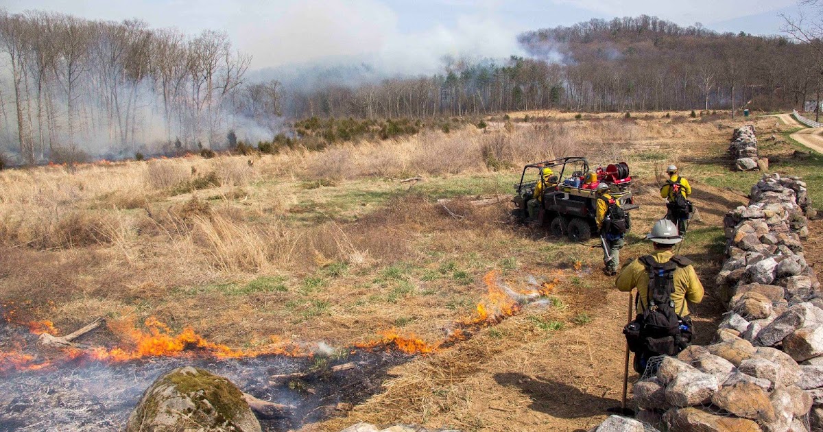 The Civil War Picket: Prescribed burn at Gettysburg to cover area of ...