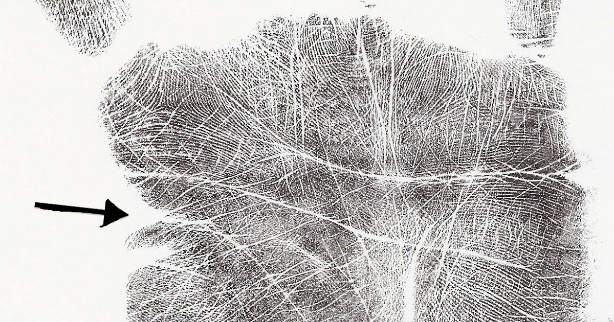 How to Read: Life Line on your hand |Palm reading Guide