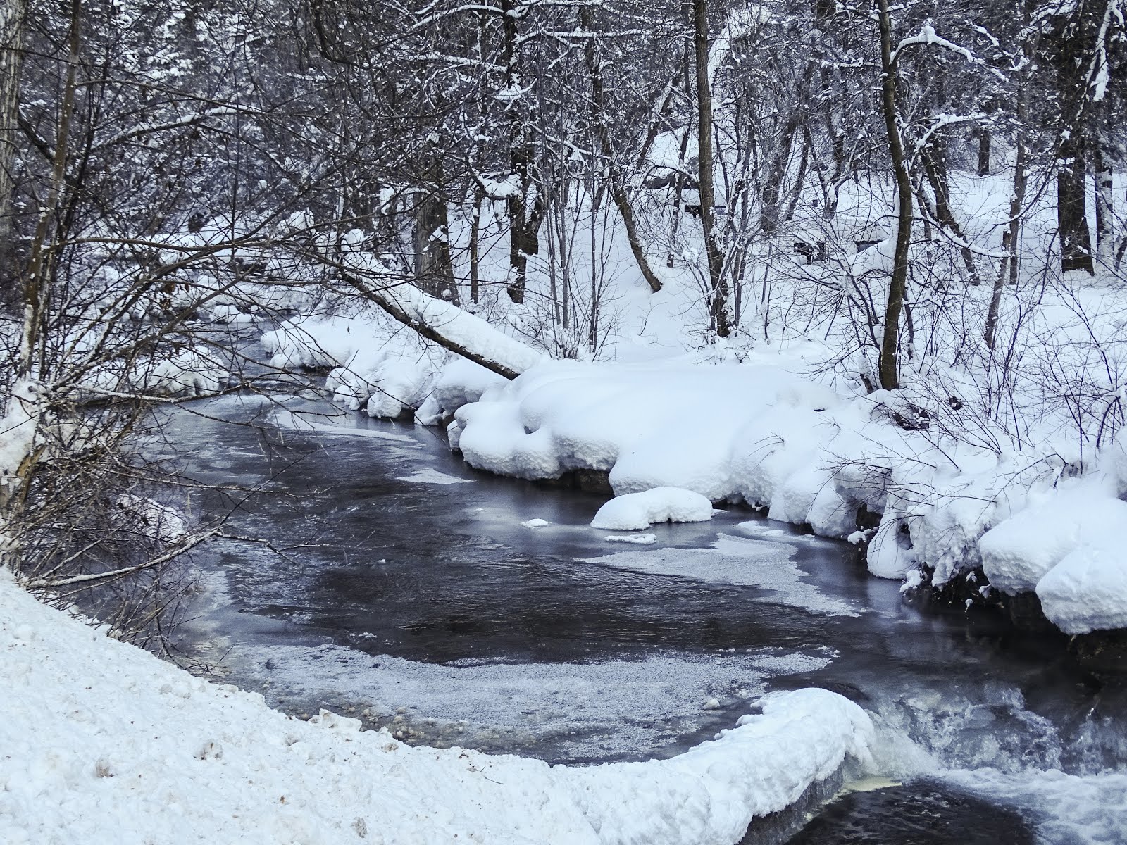 Walking Arizona: Winter Snowscape