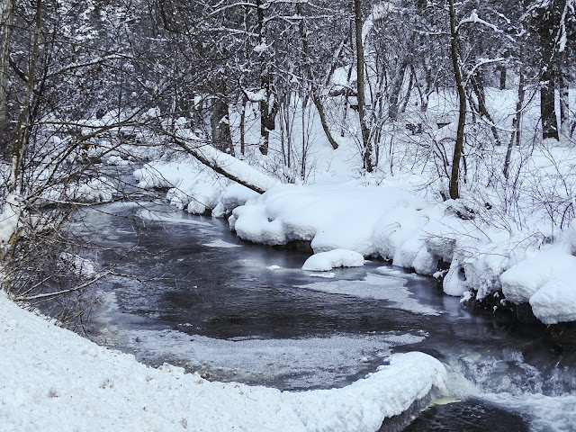 Walking Arizona: Winter Snowscape
