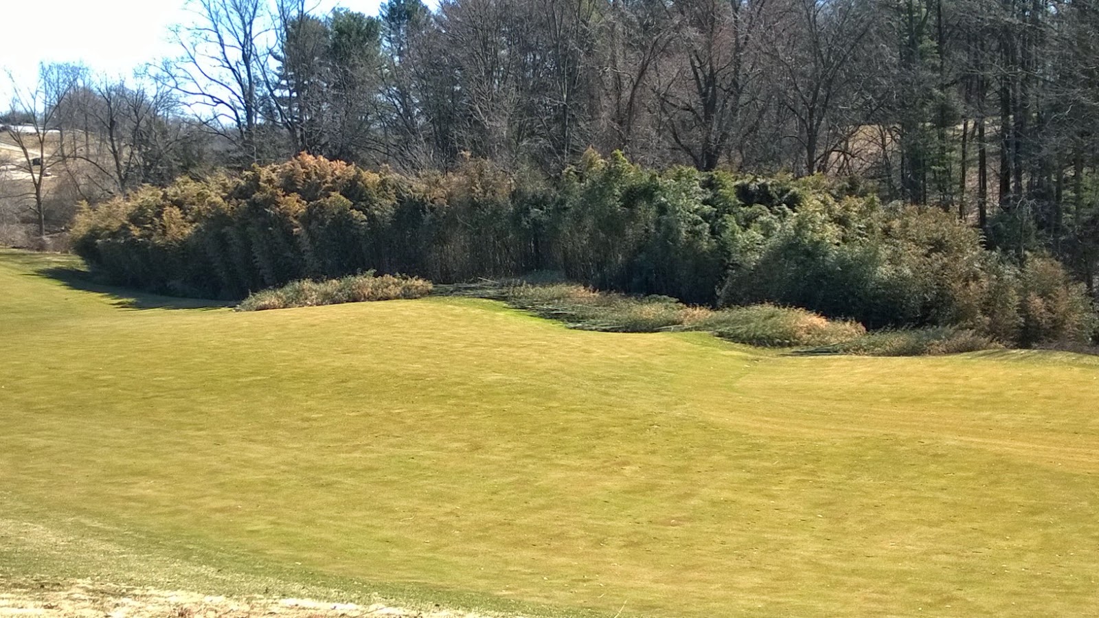 Fieldstone Golf Club Agronomy: Bamboo, Cart Paths and Bunkers