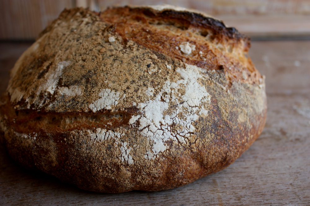 Tartine Bread Experiment: it's just bread
