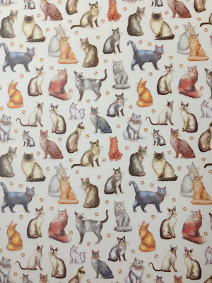 Something Between Want and Desire: Cat Scrapbook In Progress