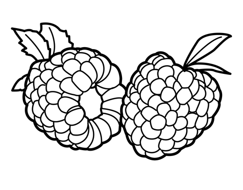 DIBUJOS DE FRAMBUESAS PARA COLOREAR