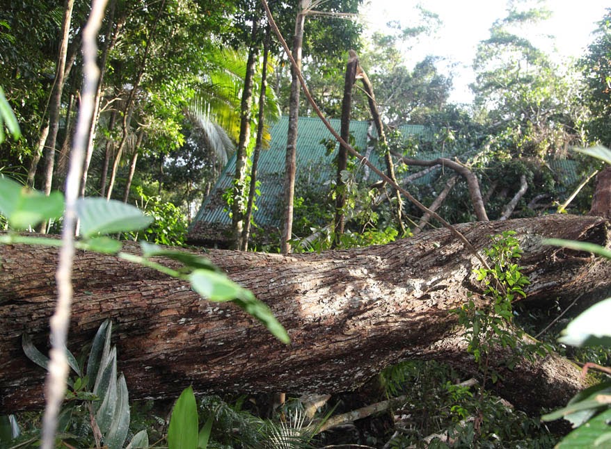 BunyipCo: April 2014