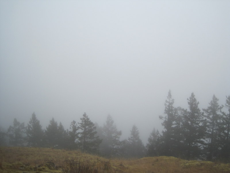 Tuesday Ad Hoc Hikers: Tuesday June 25, 2013 Mount Manuel Quimper