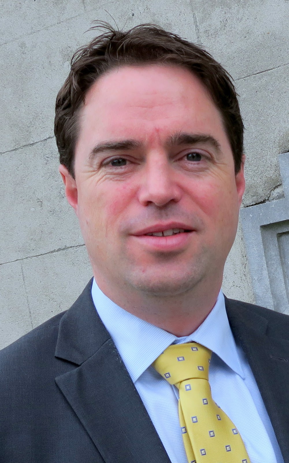 Kilcullen Diary: Martin Heydon appointed to Special Oireachtas ...