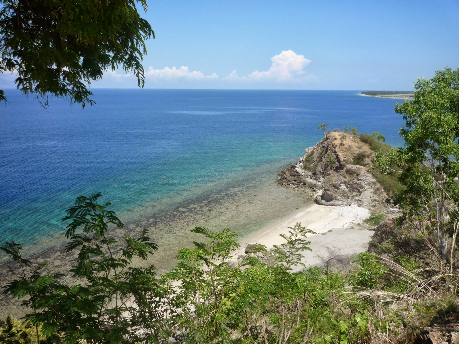 ePORTUGUÊSe: Timor-Leste comemora 38 anos de independência