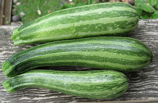 millertime: Last Season Veggie Review: Double-Double Washtubbles