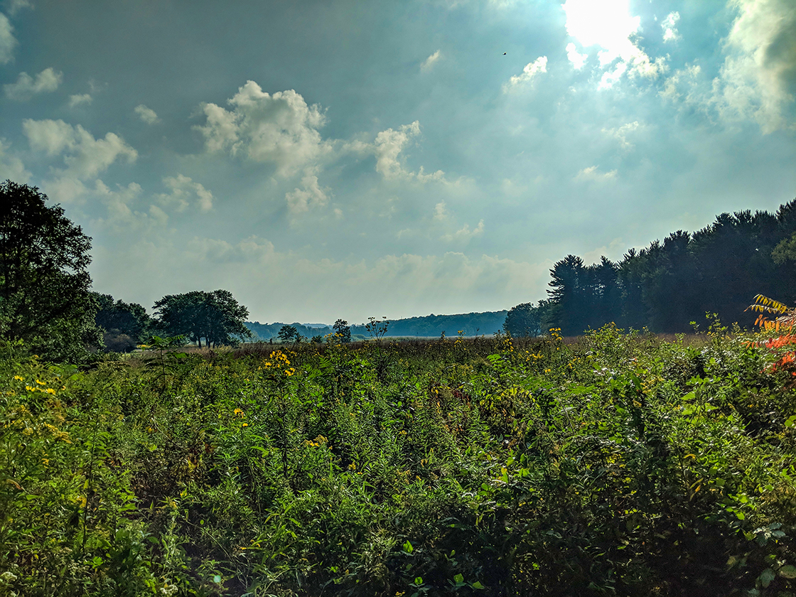 UW Arboretum Hiking Trails