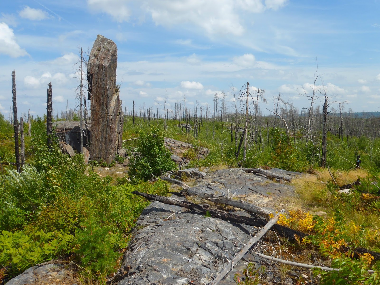 earthscienceguy: Minnesota Geology Monday - Magnetic Rock