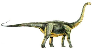 Blog de la Vida Prehistórica: Ferganasaurus