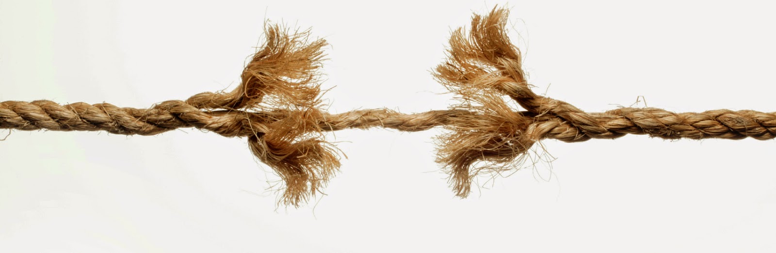 Shoulder and Elbow Surgery: Biceps Tendon Tear at the Shoulder ...