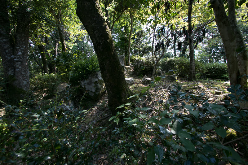 Nakamura Castle (Tosa) -History of island hero (5) Beat of benefactor ...