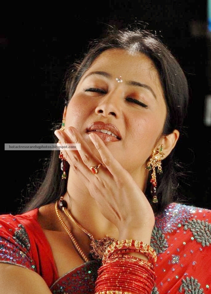 Hot Indian Actress Rare HQ Photos: Hot South Actress Sangeetha Krish ...