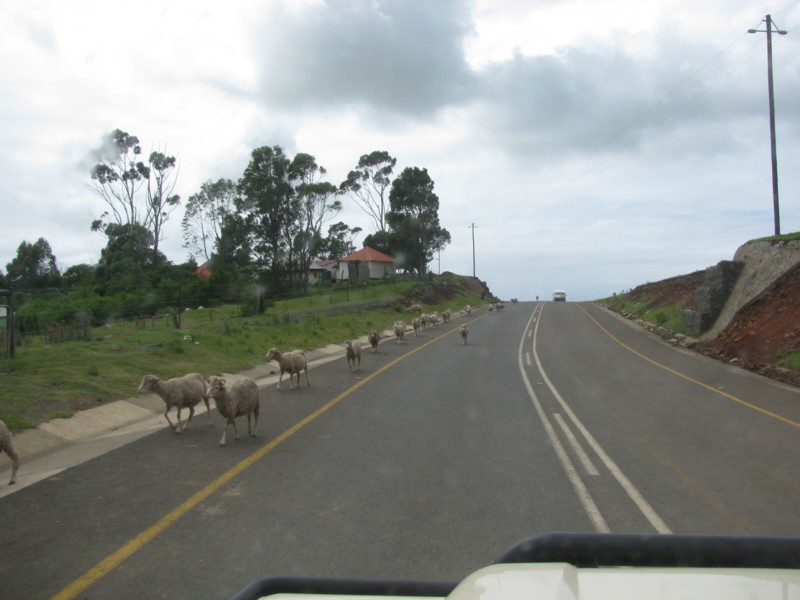 Murray & Candace's Adventures: Zithulele Mission Hospital...