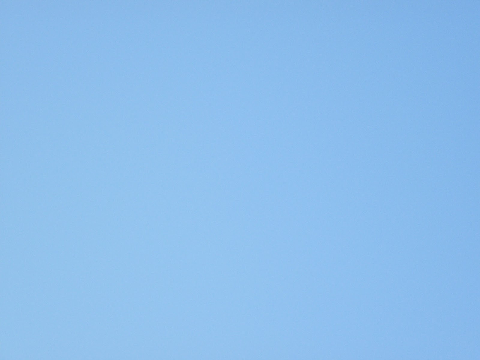 How the hell does this work?: Blue