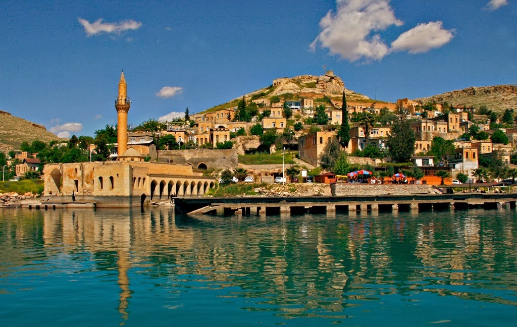 Las rosas de Halfeti, las únicas rosas negras que existen en la naturaleza