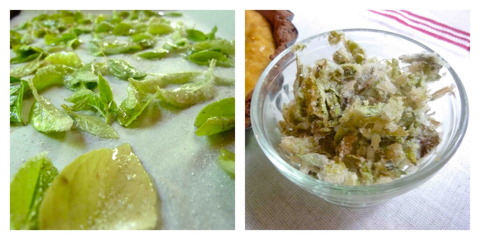 Apricot Curd Chocolate Tart with Candied Lime Basil – Diary of a Mad ...