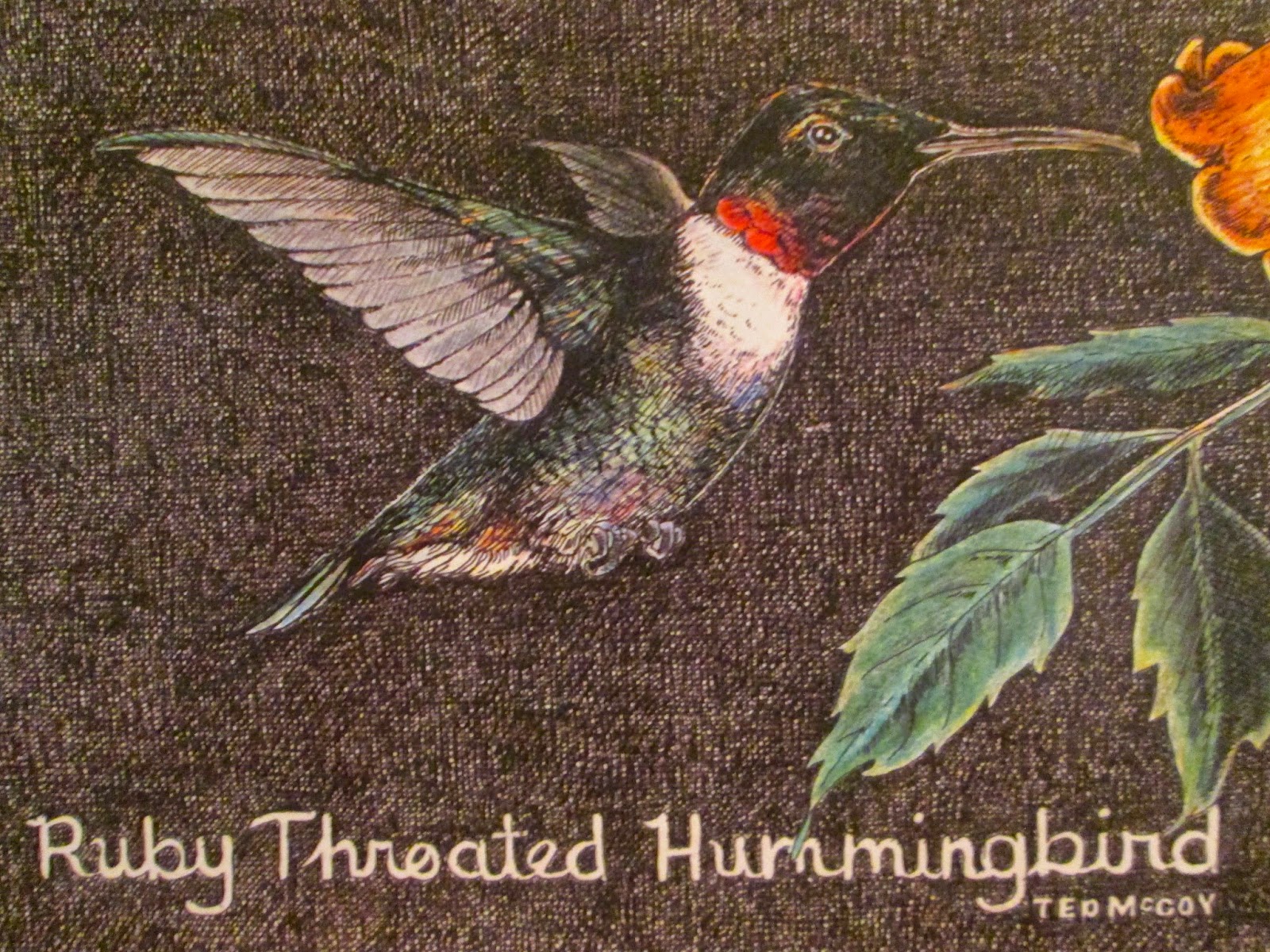 Mccoy Farm And Folk Art Return Of The Hummingbirds