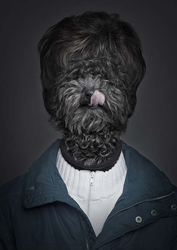 Swiss Artist Creates Stunning “Mad Scientist” Dog Fotos | BOLD and ...
