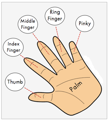 FUN-TASTIC LEARNING: FINGER FAMILY