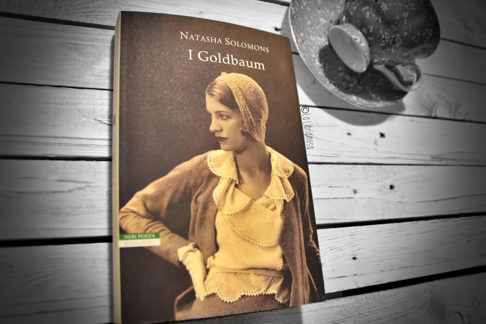 Recensione 'I Goldbaum' di Natasha Solomons - Neri Pozza - La Libridinosa