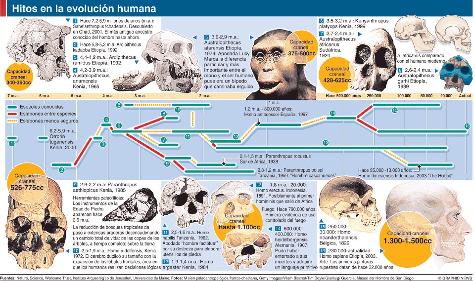 Primeros seres humanos | Geografía Social