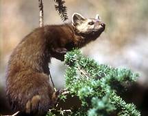 Marta | Naturaleza asombrosa, maravillas naturales