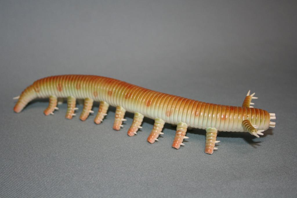 Blog de la Vida Prehistórica: Aysheaia