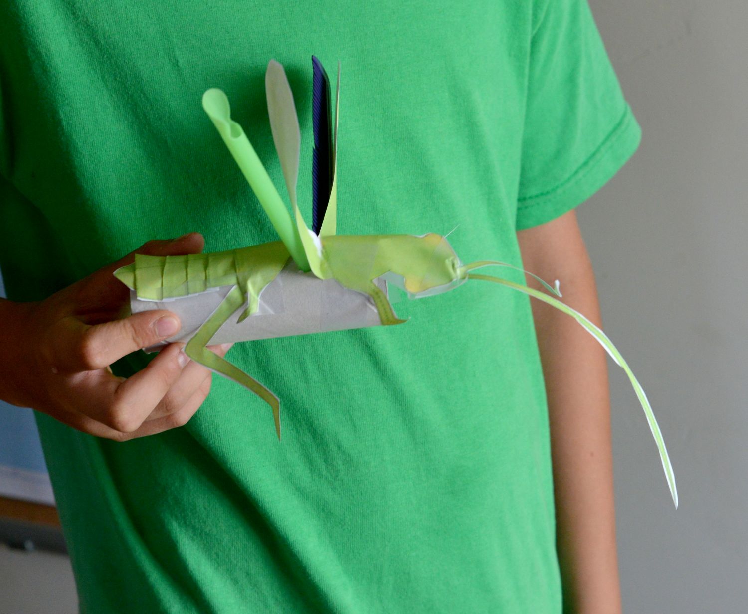 A school of fish: Nocturnal Animal games and Chirping Cricket Craft