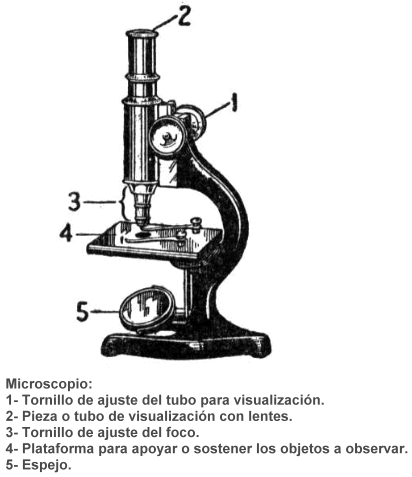 IMAGENES: MICROSCOPIO