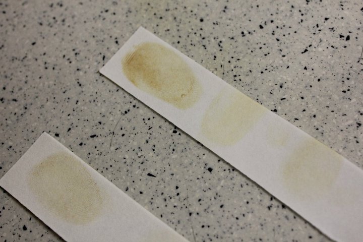 Crime Scene Investigation: FINGERPRINTING!