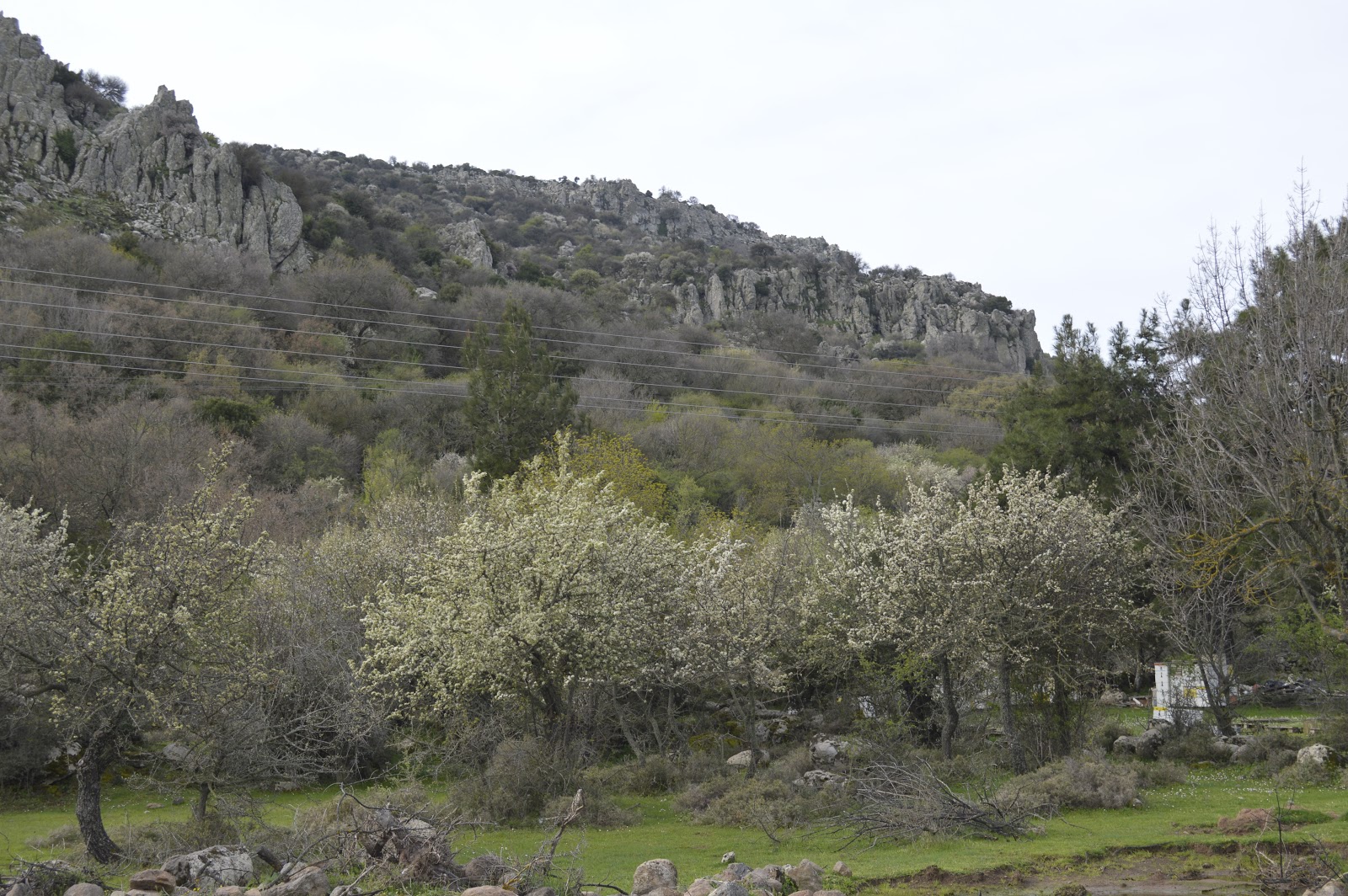 MY ANEMOTIA LESVOS!: 81.ΦΩΤΟΓΡΑΦΙΕΣ ΑΝΕΜΩΤΙΑΣ 2