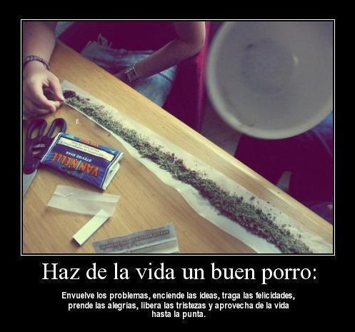 Un buen porro! | MexicanTroll | Importa Un Carajo.