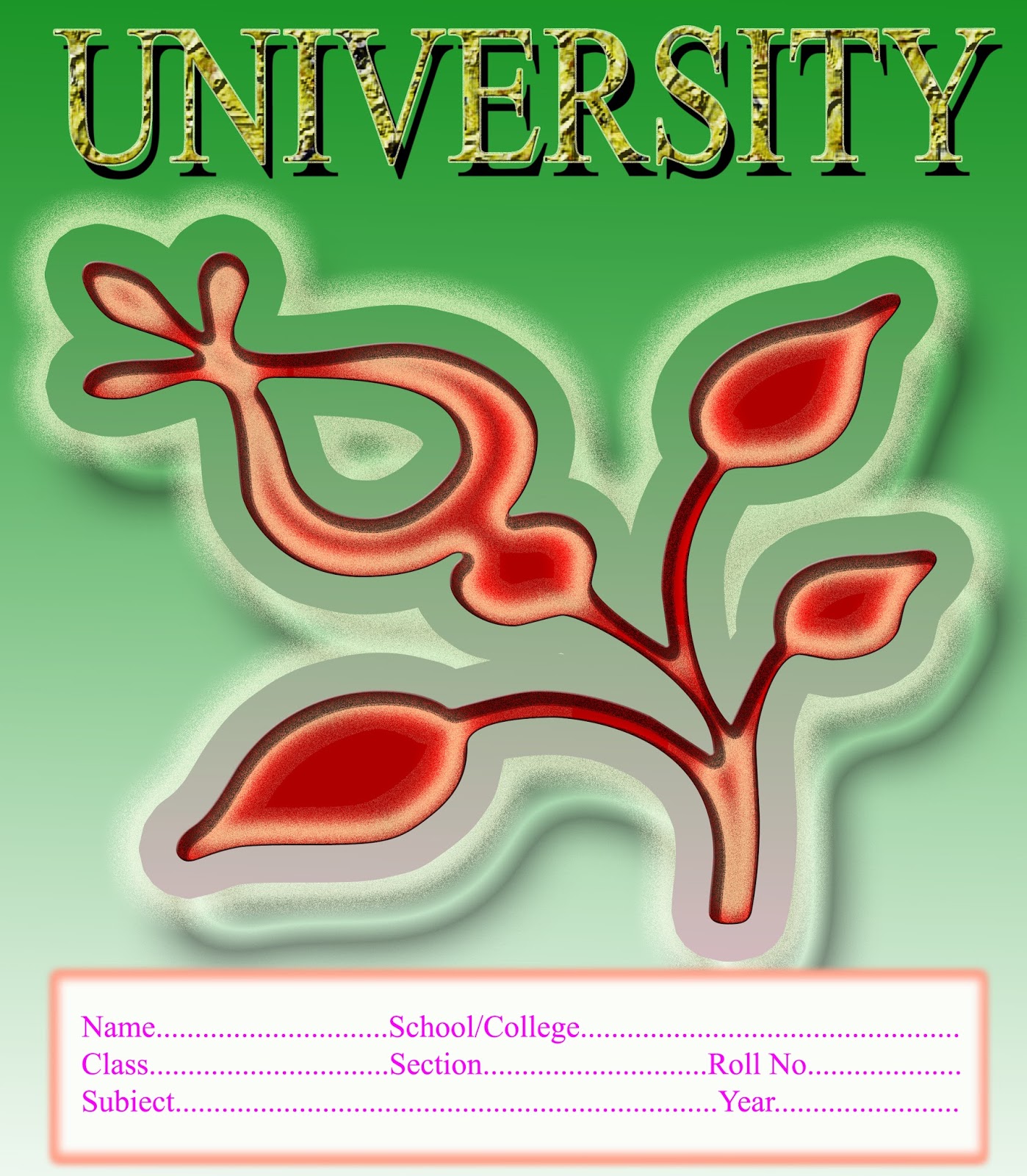 Photo Gallery - Modina computer