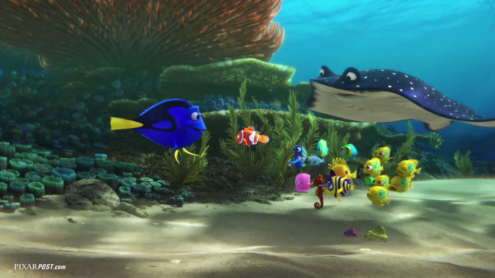 Heart-Wrenching & Hilarious: Our 'Finding Dory' Film Review 9/10 ...