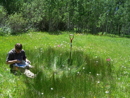 Pin Information: Wetland Delineations—Understanding the Concept and the ...