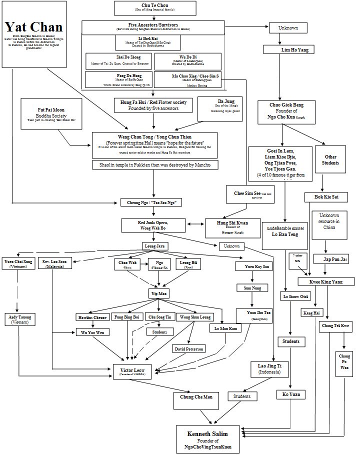 VTM's conclusion on Wing Chun is complete Bull5hit