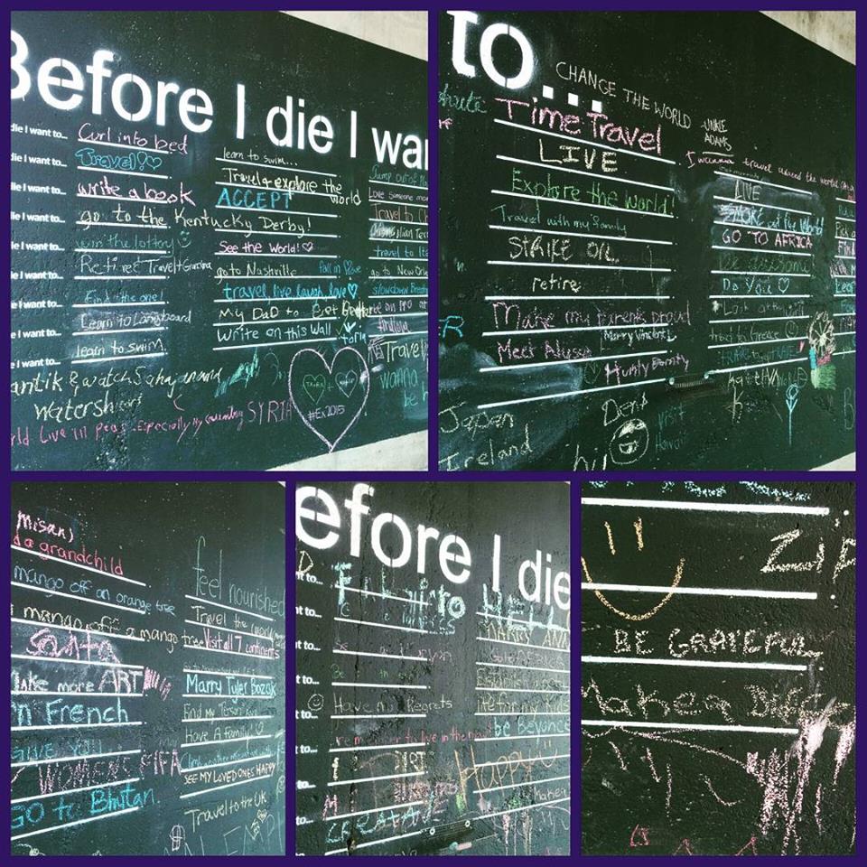 Erin's Writing Life: Before I Die
