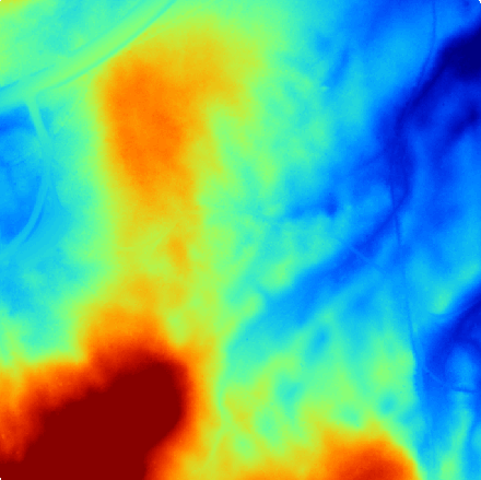 dominoc925: Simple method to count trees using Saga GIS