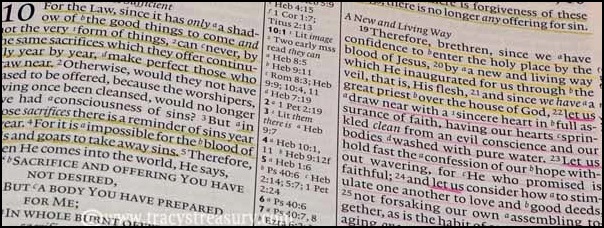 Tracy's Treasury: My Bible Marking System